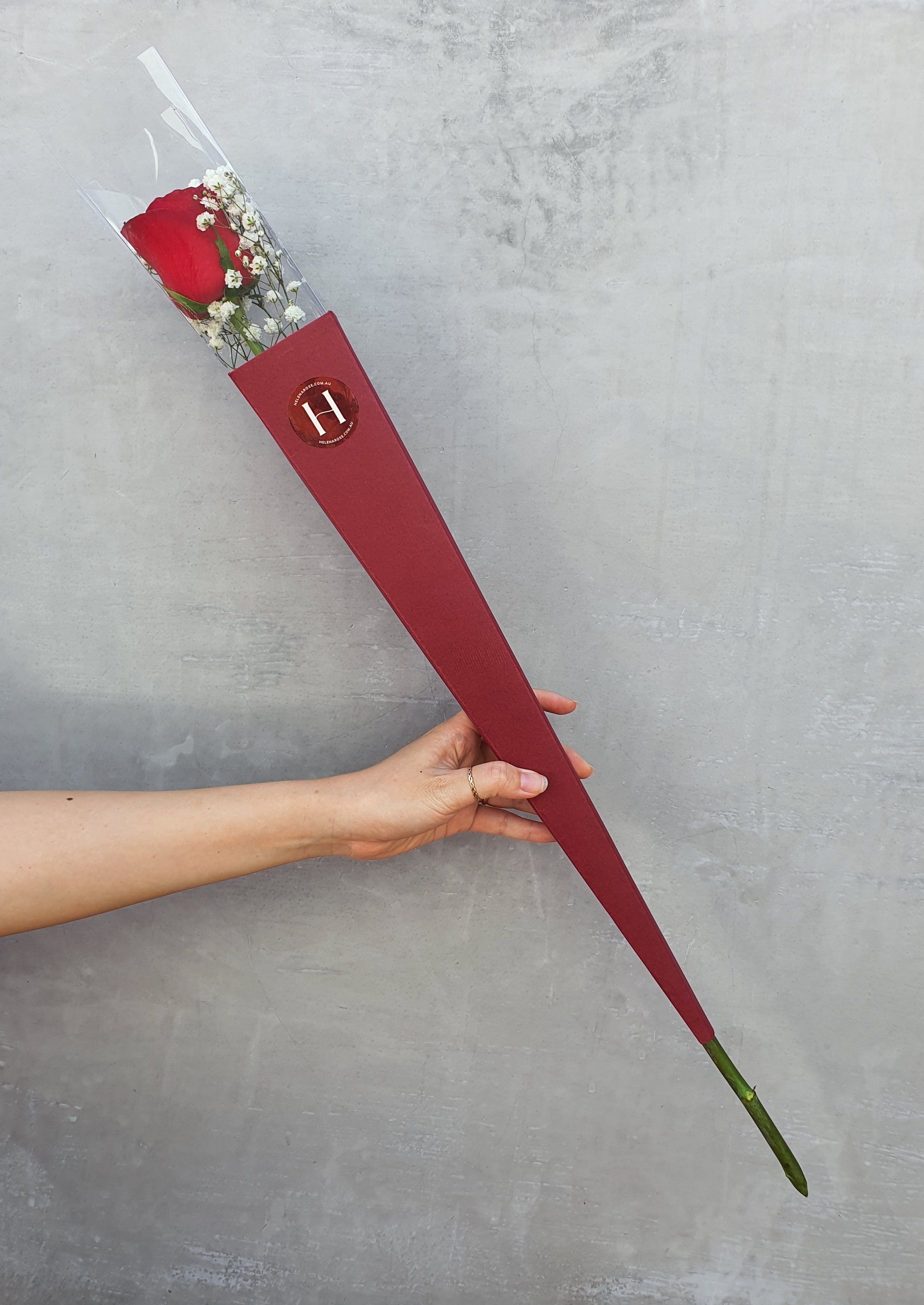 Single Rose in Sleeve – HelenaRose.com.au