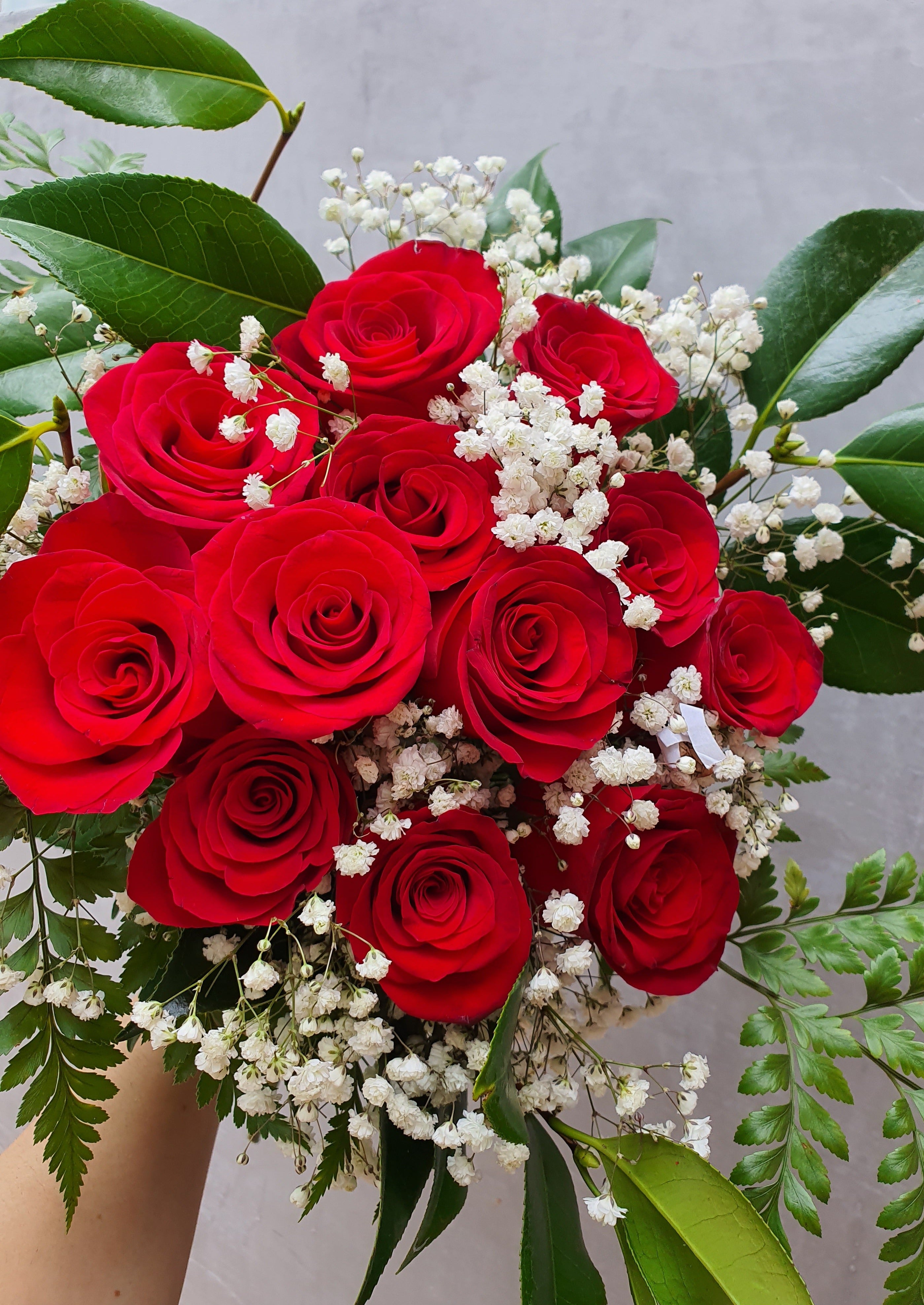 Half Dozen Roses - Wrapped with Foliage – HelenaRose.com.au